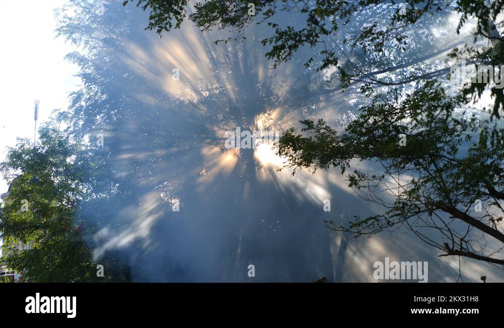catastrophic consequences of forest fires. fire extinguishing in the ...