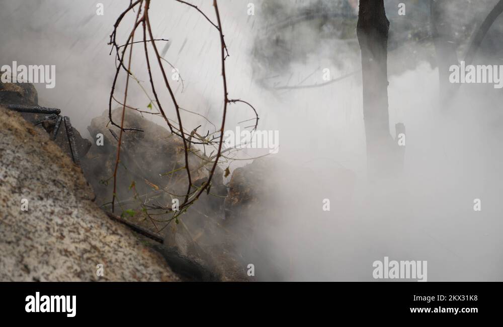 catastrophic consequences of forest fires. fire extinguishing in the ...