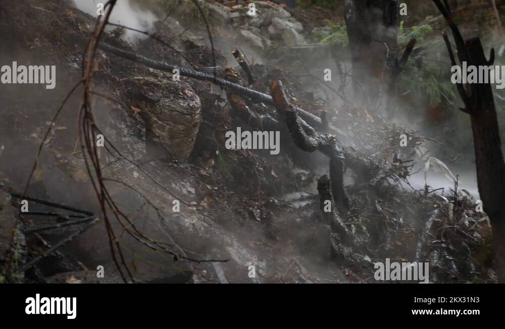 catastrophic consequences of forest fires. fire extinguishing in the ...