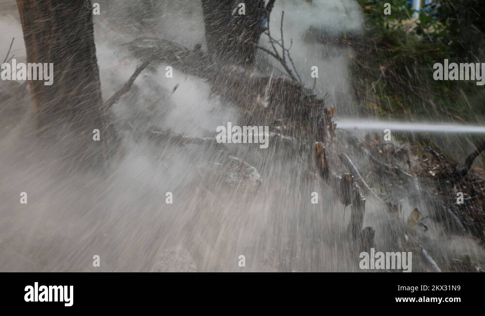 catastrophic consequences of forest fires. fire extinguishing in the ...