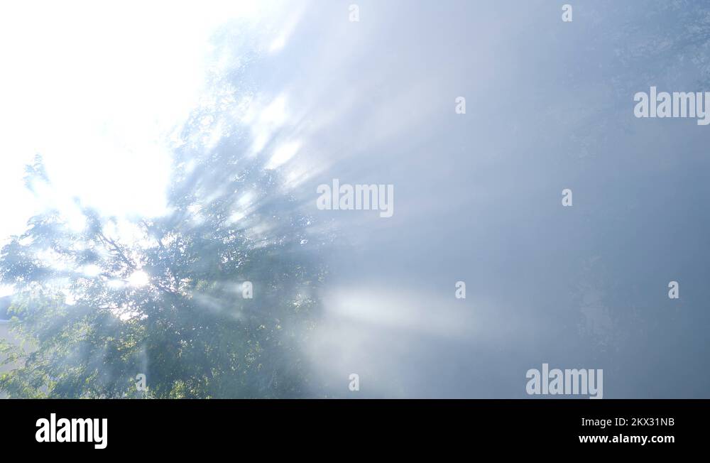 catastrophic consequences of forest fires. fire extinguishing in the ...