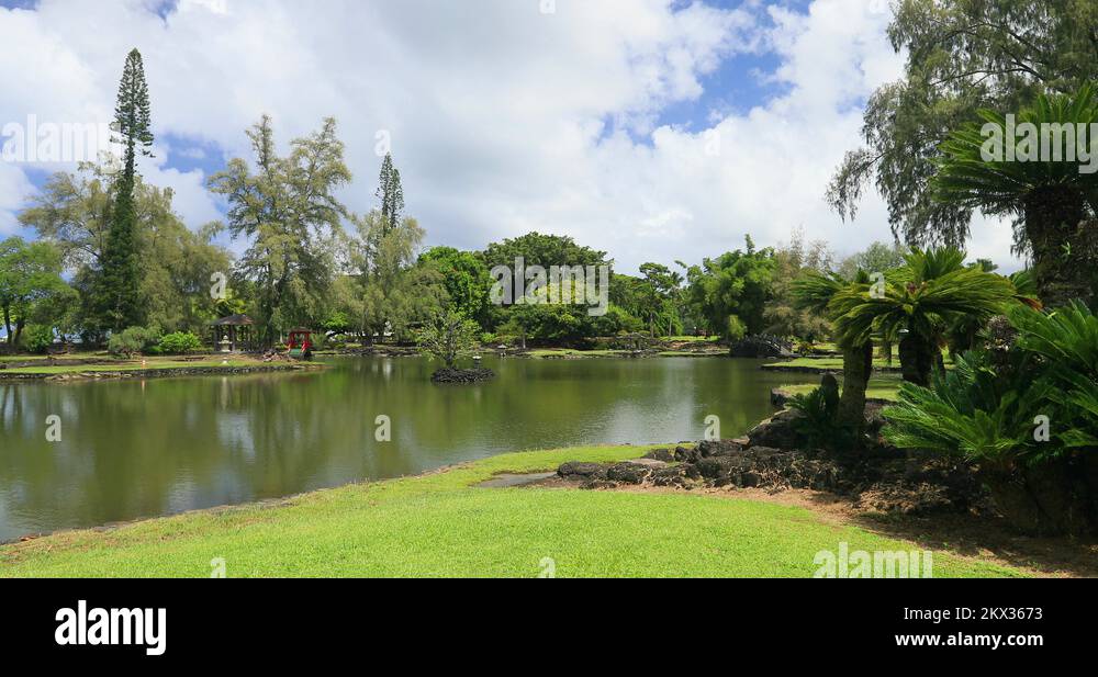 Hilo botanical garden Stock Videos & Footage - HD and 4K Video Clips ...