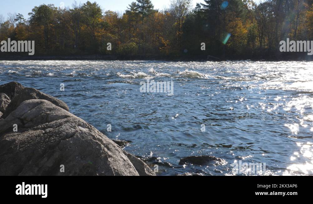 Youngs in river Stock Videos & Footage - HD and 4K Video Clips - Alamy