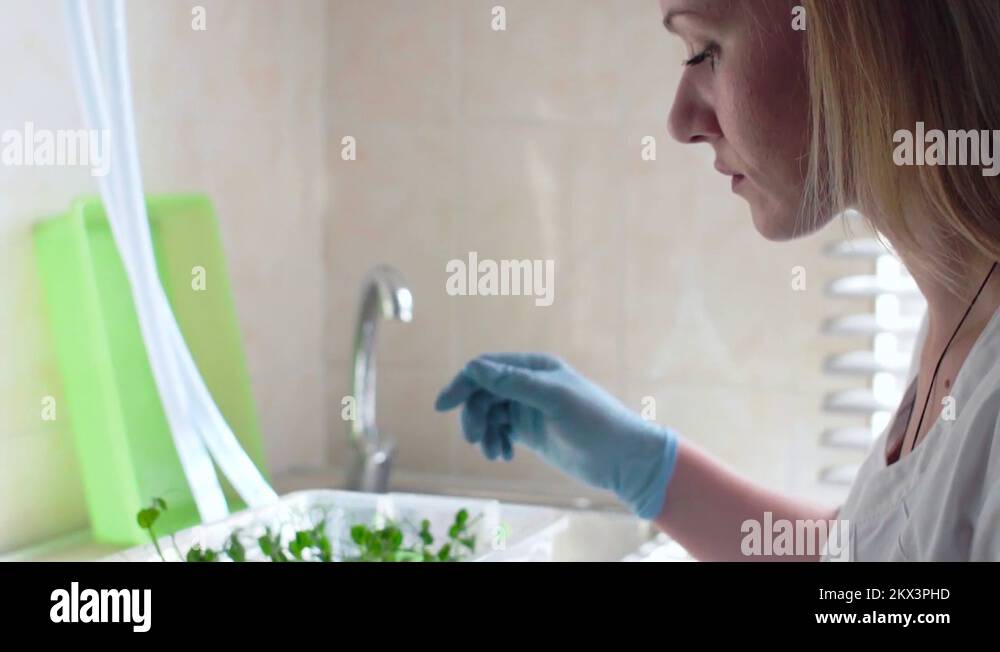 Botanist laboratory Stock Videos & Footage - HD and 4K Video Clips - Alamy