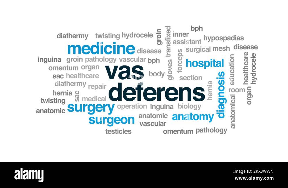 Vas deferens Stock Videos & Footage - HD and 4K Video Clips - Alamy