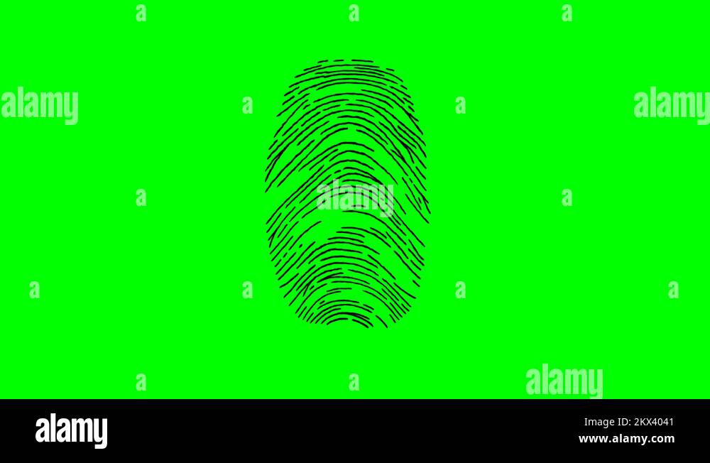 Ten human fingerprints. Biometric search and authentication. Green ...