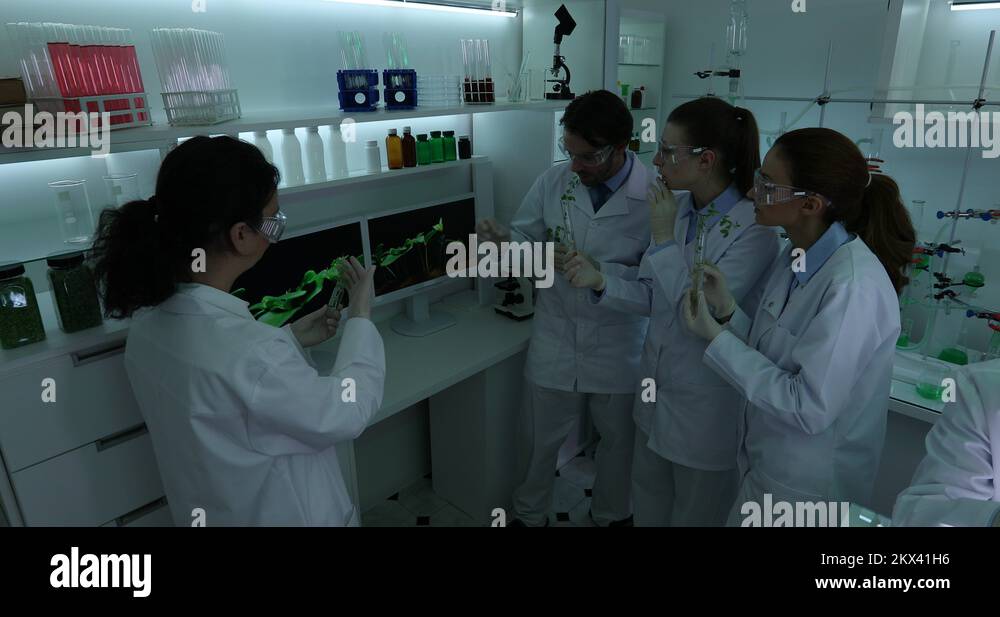 Teacher Talking Young Students How Plants Growing Lesson University ...