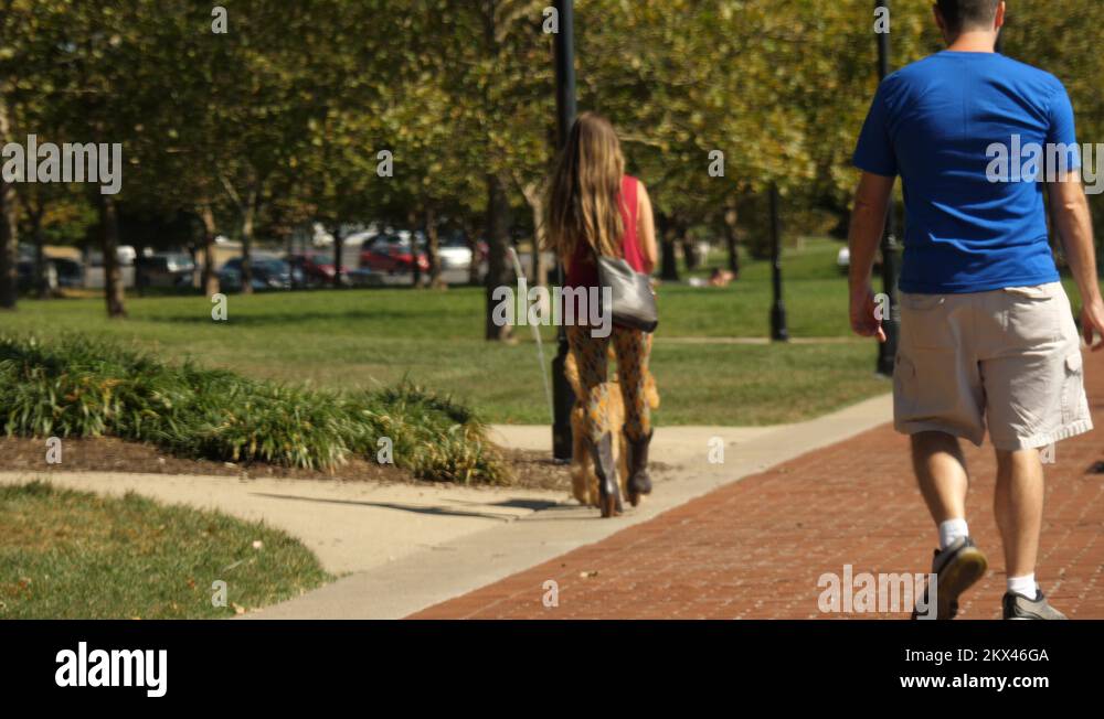 Women walking her dog and man walking behind Stock Video Footage - Alamy