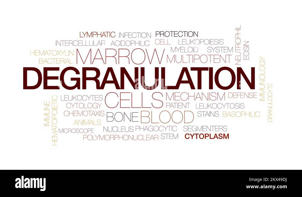 Degranulation animated word cloud, text design animation. Kinetic ...