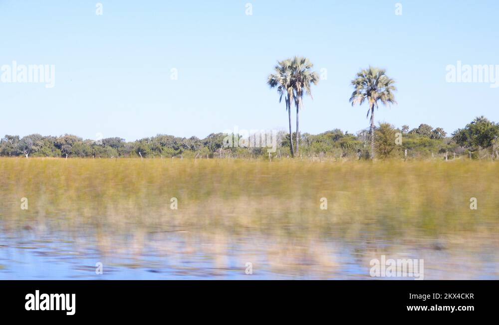 Distant tree line Stock Videos & Footage - HD and 4K Video Clips - Alamy