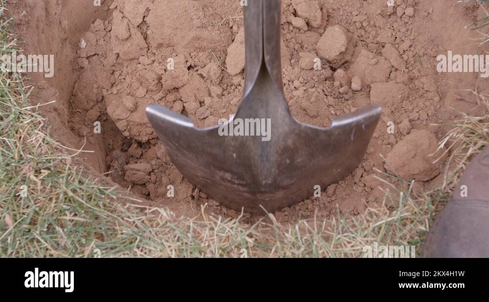 Shovel and digging Stock Videos & Footage - HD and 4K Video Clips - Alamy