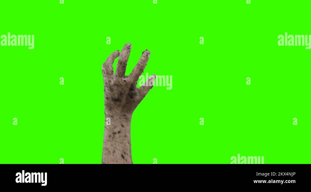 Undead - Hands and forearms of a zombie who is rising from the dead ...