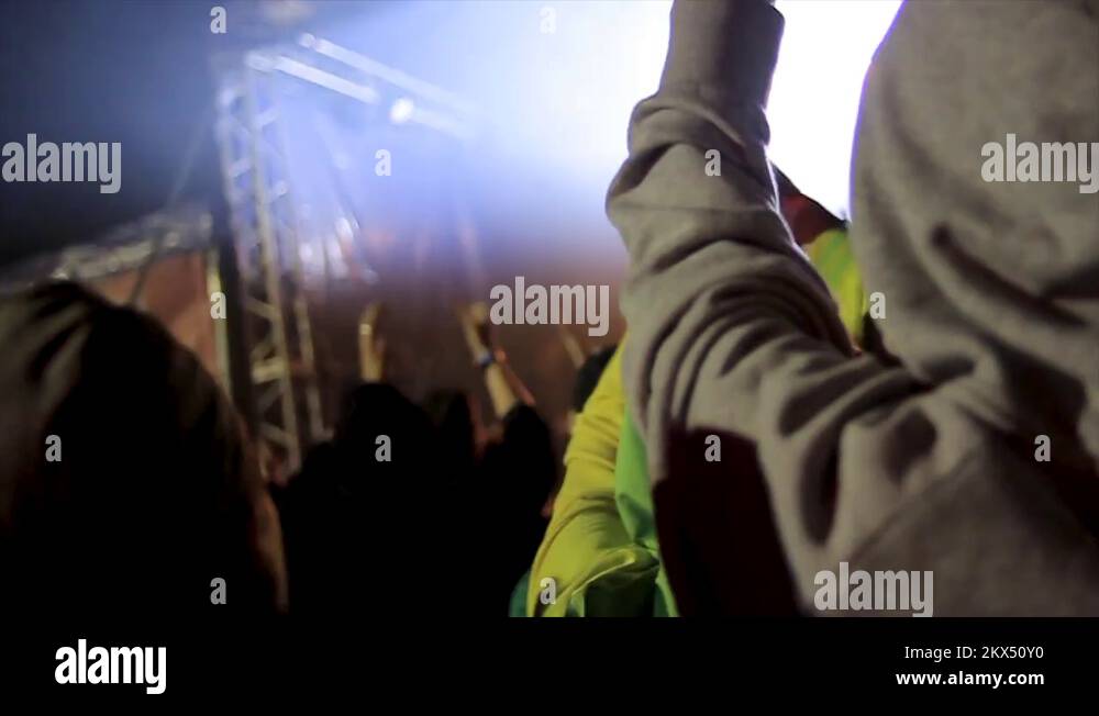 Back view of crowd of people at the concert. Footage. Silhouettes of ...