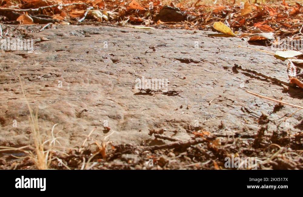 Scoured rock Stock Videos & Footage - HD and 4K Video Clips - Alamy