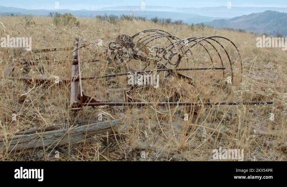 6 ranch Stock Videos & Footage - HD and 4K Video Clips - Alamy
