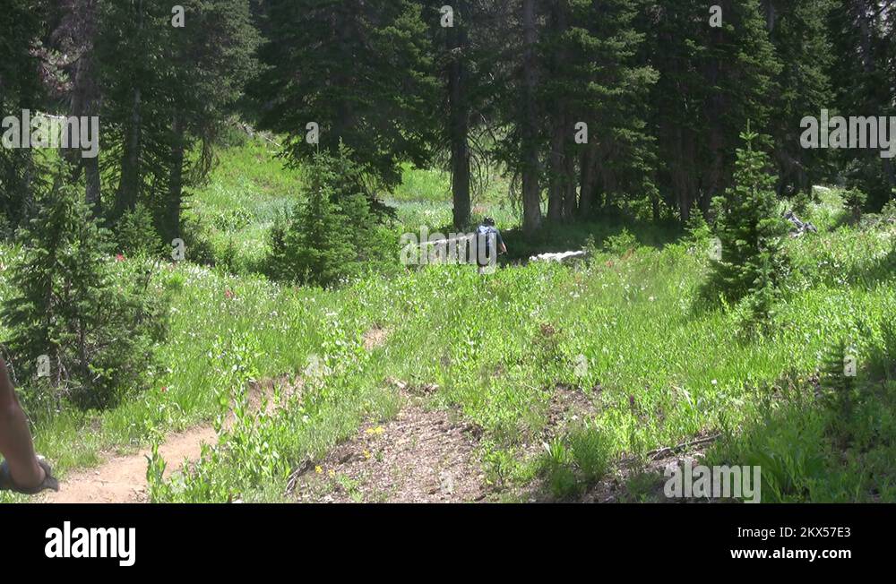 Canyon track bike Stock Videos & Footage - HD and 4K Video Clips - Alamy
