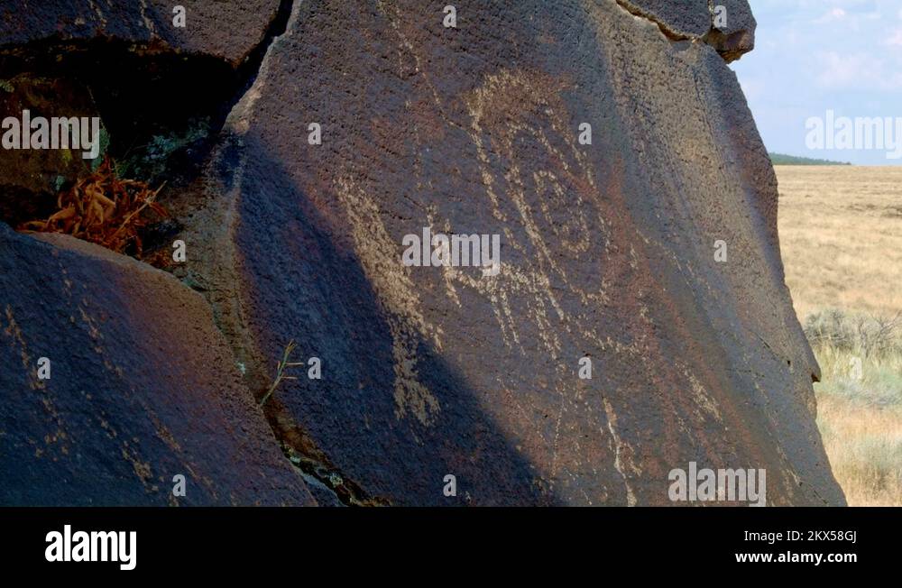 Pronghorn antelope and swirl Ancient Native American Indian Rock Art at ...
