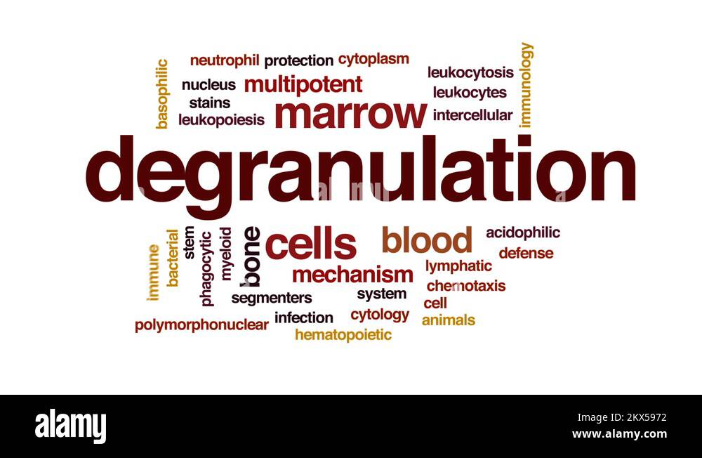 Degranulation animated word cloud, text design animation Stock Video ...