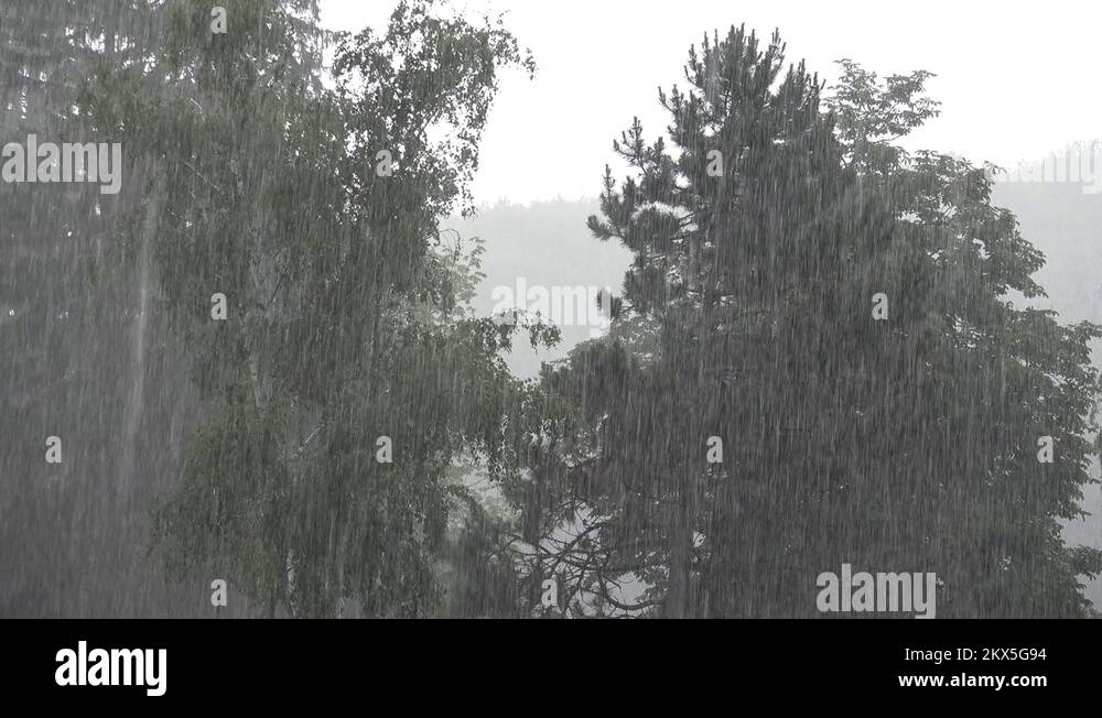Summer torrential rainfall Stock Videos & Footage - HD and 4K Video ...