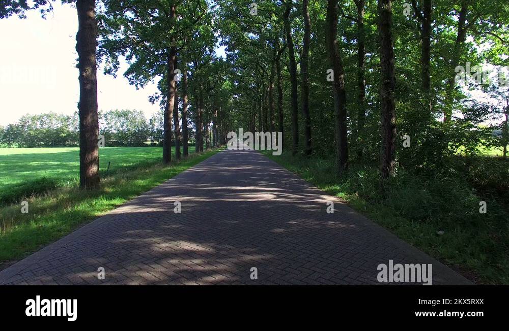 Forrest road Stock Videos & Footage - HD and 4K Video Clips - Alamy