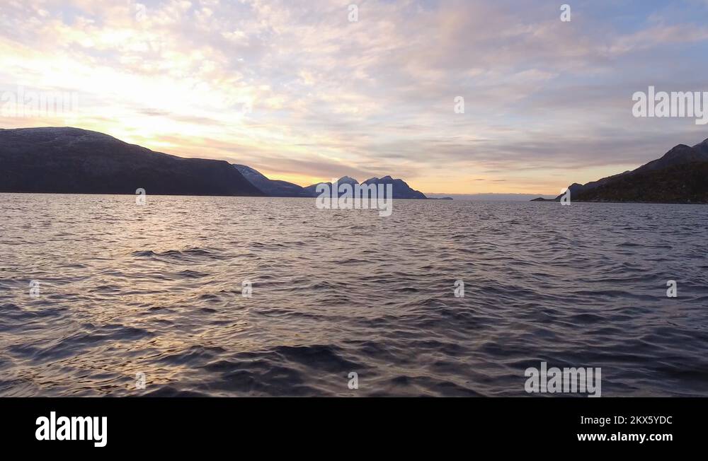 Sunset orca Stock Videos & Footage - HD and 4K Video Clips - Alamy