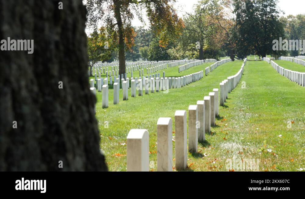 A row of headstones Stock Videos & Footage - HD and 4K Video Clips - Alamy
