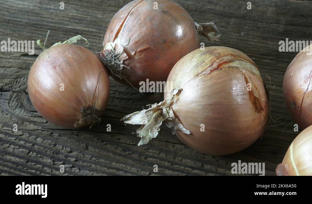 Rotten onions Stock Videos & Footage - HD and 4K Video Clips - Alamy