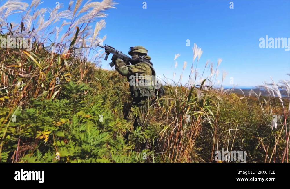 Soldier fields Stock Videos & Footage - HD and 4K Video Clips - Alamy
