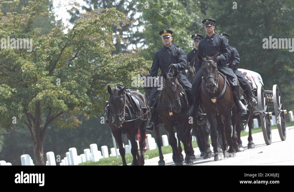 Horse Drawn Caisson at Arlington National Cemetery in Slow Motion Stock ...