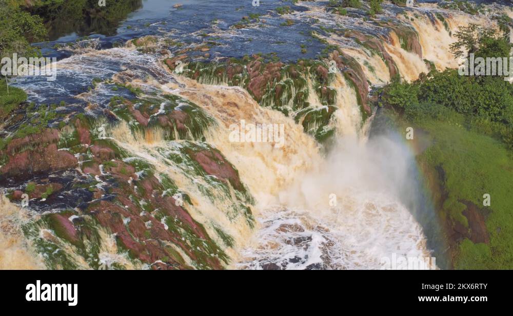 Equatorial rain forest africa Stock Videos & Footage - HD and 4K Video ...