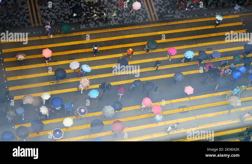 Messy people Stock Videos & Footage - HD and 4K Video Clips - Alamy