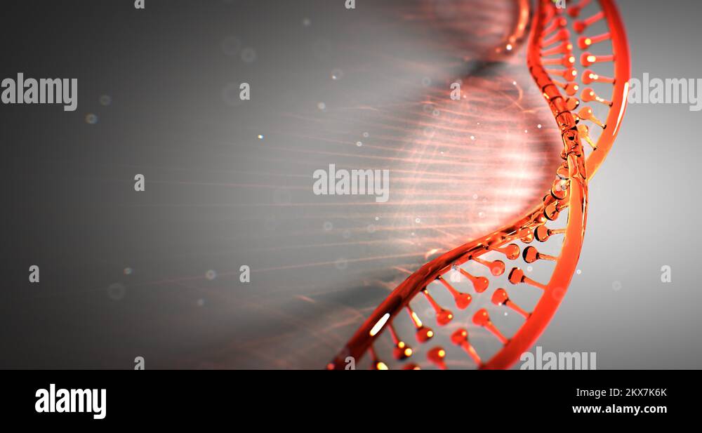 Dna strand structure seamless loopable animation 4k UHD Stock Video ...