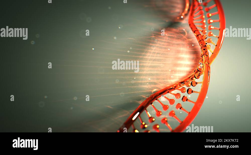Dna strand structure seamless loopable animation 4k UHD Stock Video ...