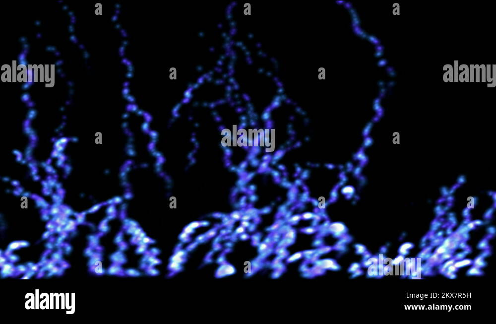 Worm snakes Stock Videos & Footage - HD and 4K Video Clips - Alamy