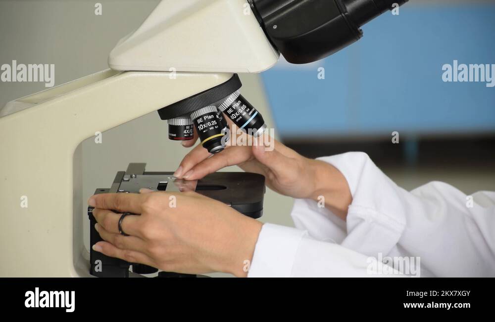 Slide test Stock Videos & Footage - HD and 4K Video Clips - Alamy