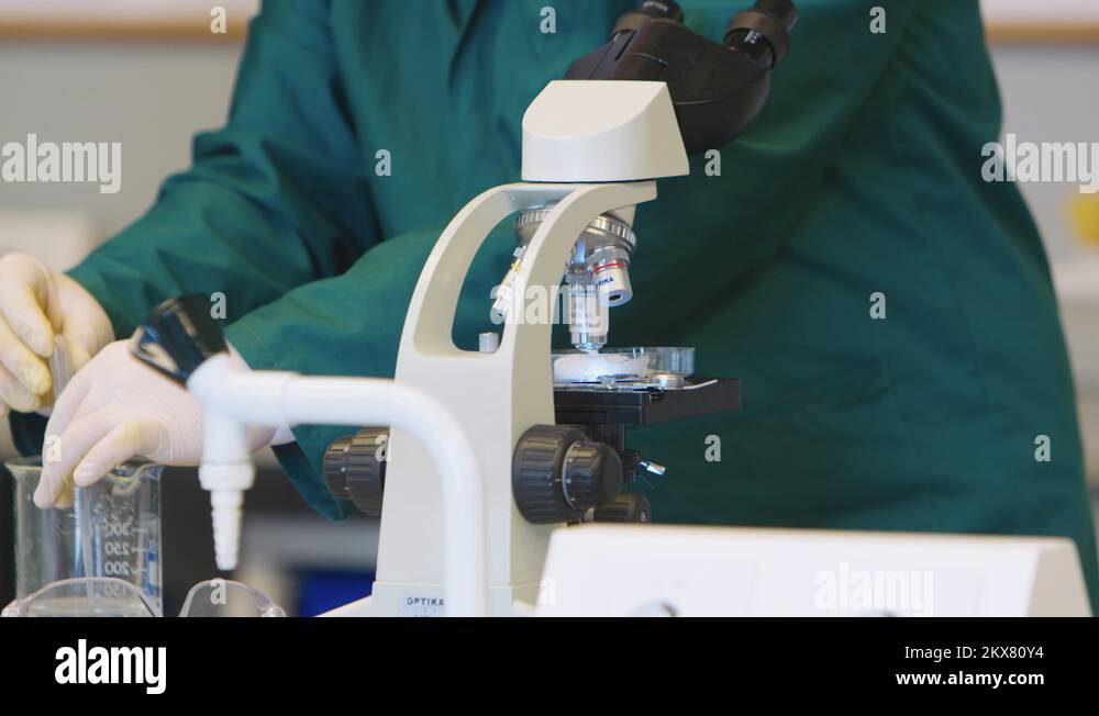 Scene from the college science lab. Chemistry class students Stock ...
