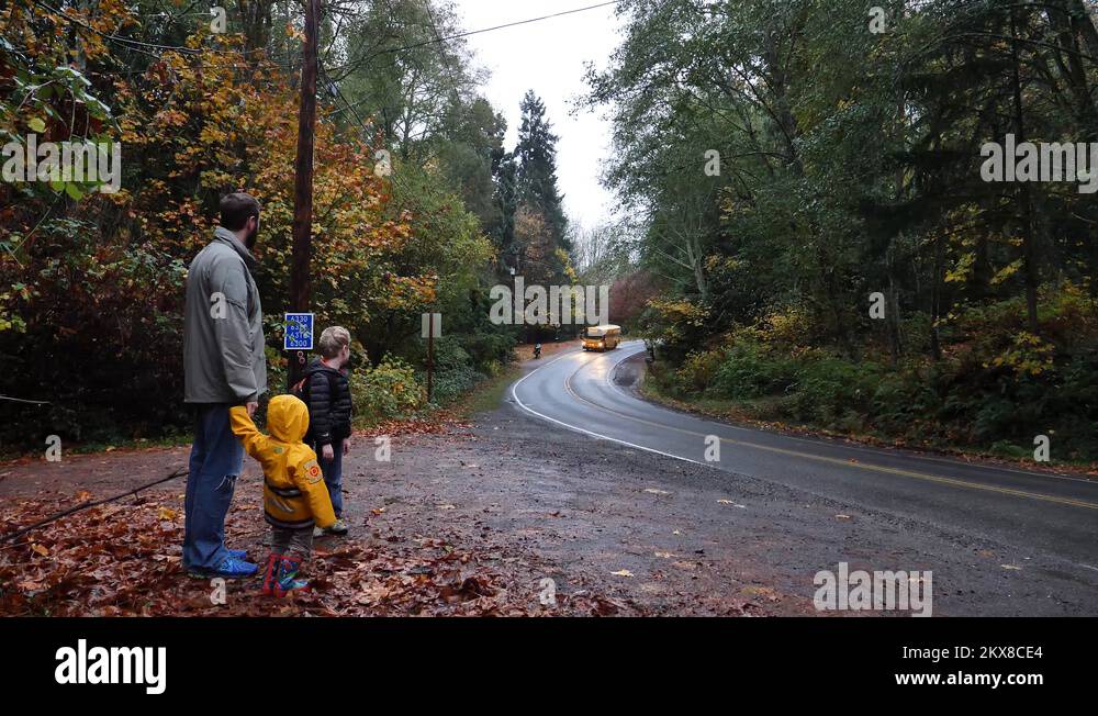 Dad 2 boys wait one catches school bus by rainy highway Pacific ...