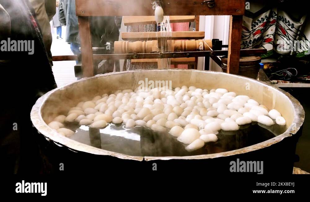 Sericulture process making silk Stock Videos & Footage - HD and 4K ...