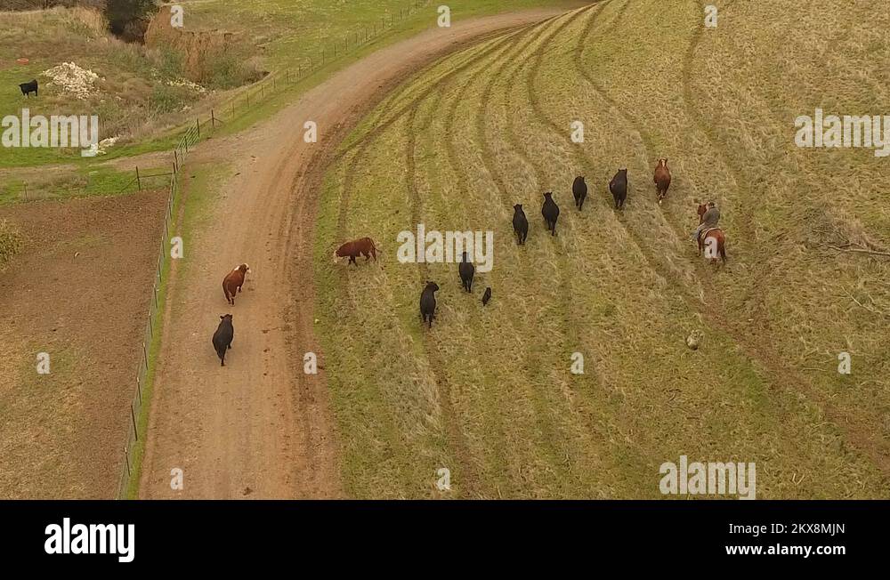 Ranchers sky Stock Videos & Footage - HD and 4K Video Clips - Alamy