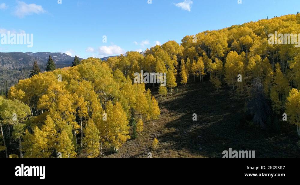 Colorado mountain top Stock Videos & Footage - HD and 4K Video Clips ...