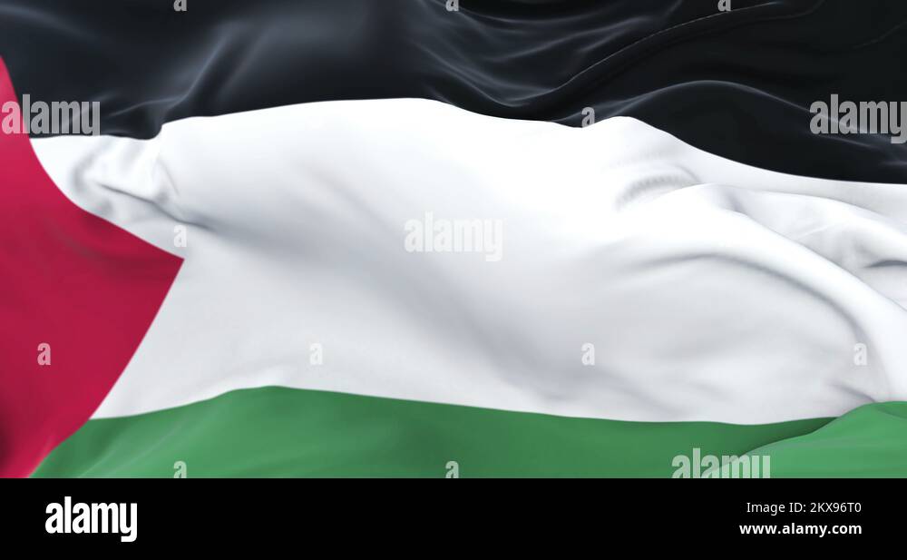 Palestinian flag blue Stock Videos & Footage - HD and 4K Video Clips ...