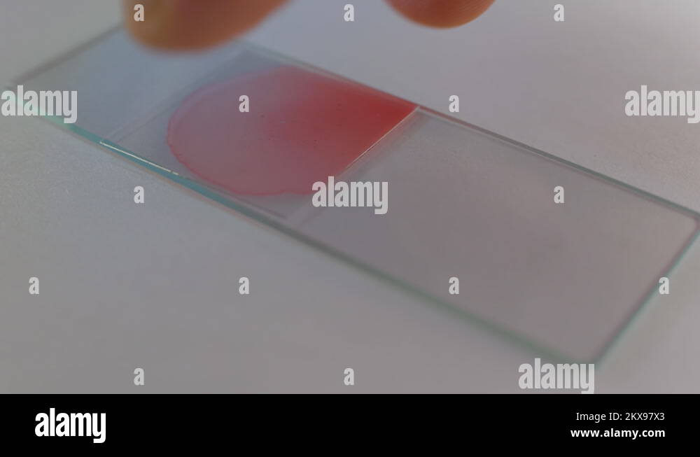 Specimen red table Stock Videos & Footage - HD and 4K Video Clips - Alamy