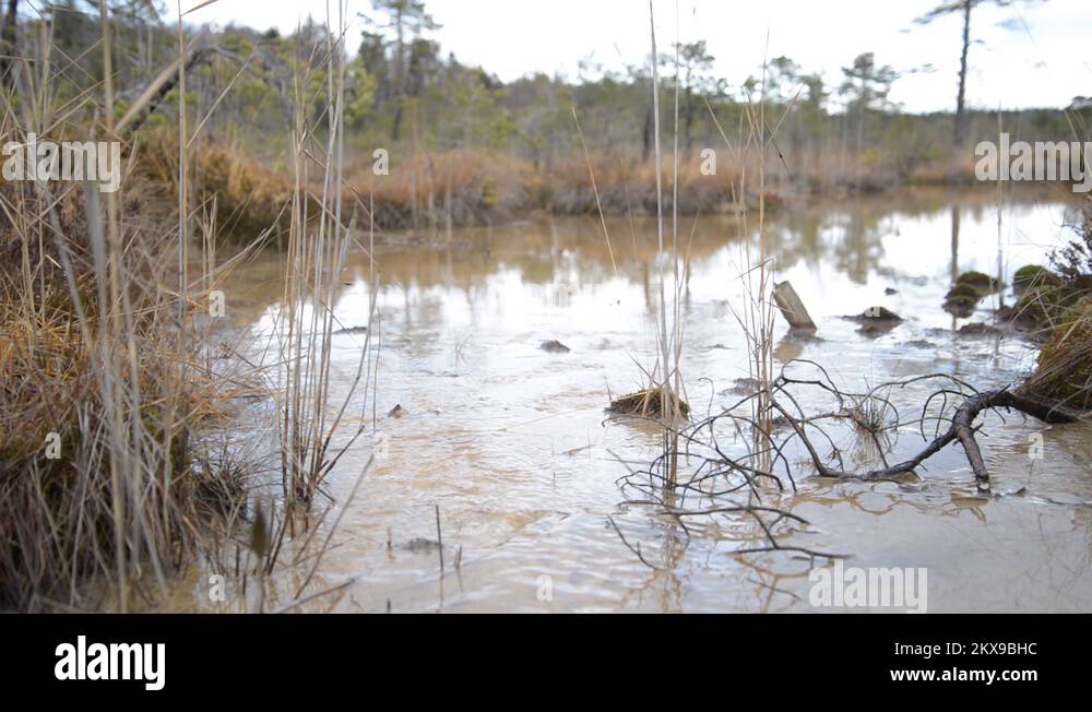 Sulphurous spring Stock Videos & Footage - HD and 4K Video Clips - Alamy