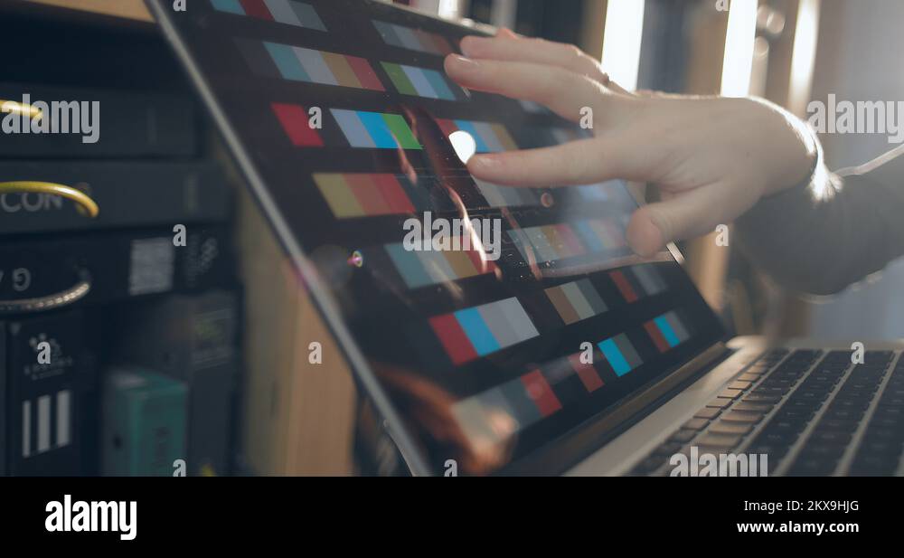 The designer with the client selects wallpaper according to the color ...