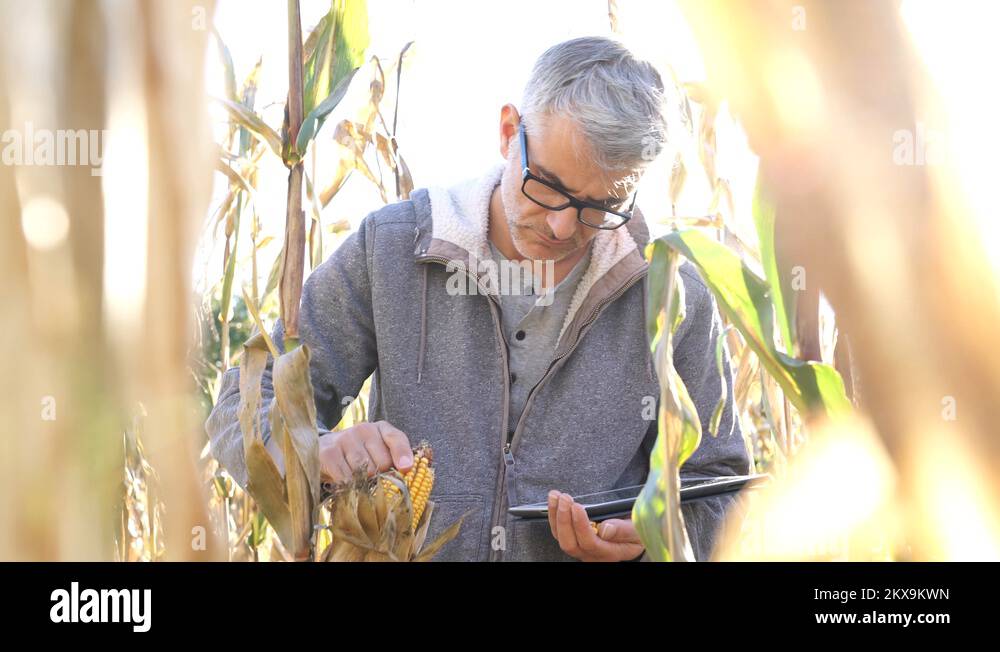 Field testing Stock Videos & Footage - HD and 4K Video Clips - Alamy