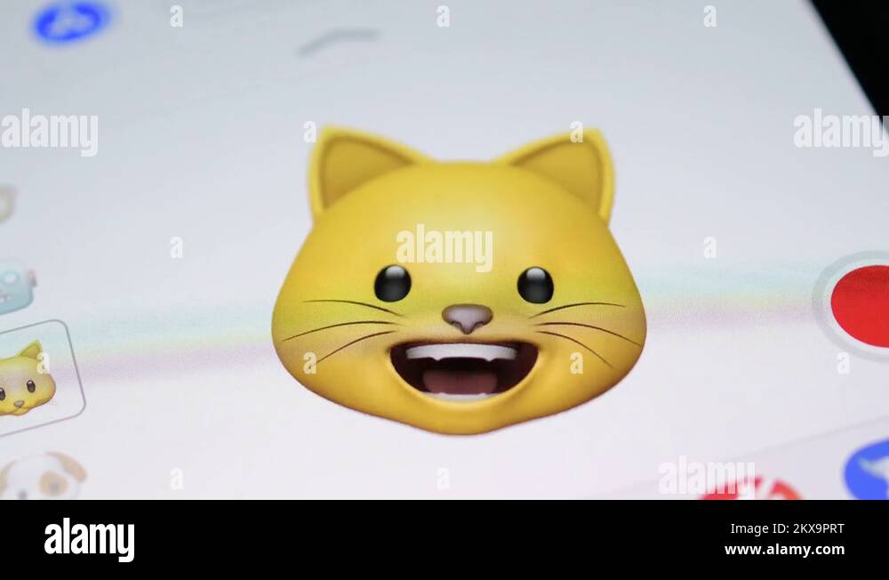 Cat 3d Stock Videos & Footage - HD and 4K Video Clips - Alamy