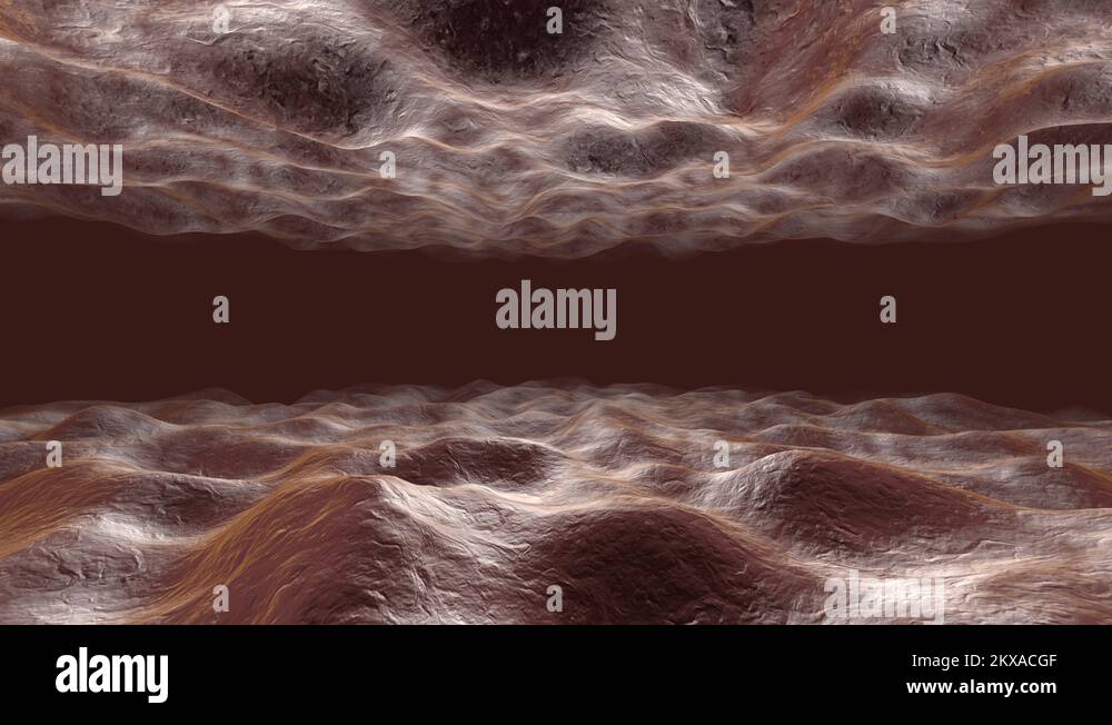 Human muscle moving anatomy Stock Videos & Footage - HD and 4K Video ...