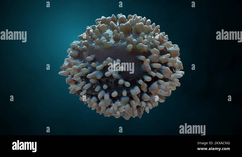 Single cell bacteria Stock Videos & Footage - HD and 4K Video Clips - Alamy