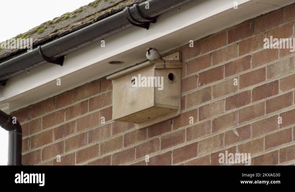 Soffit box Stock Videos & Footage - HD and 4K Video Clips - Alamy