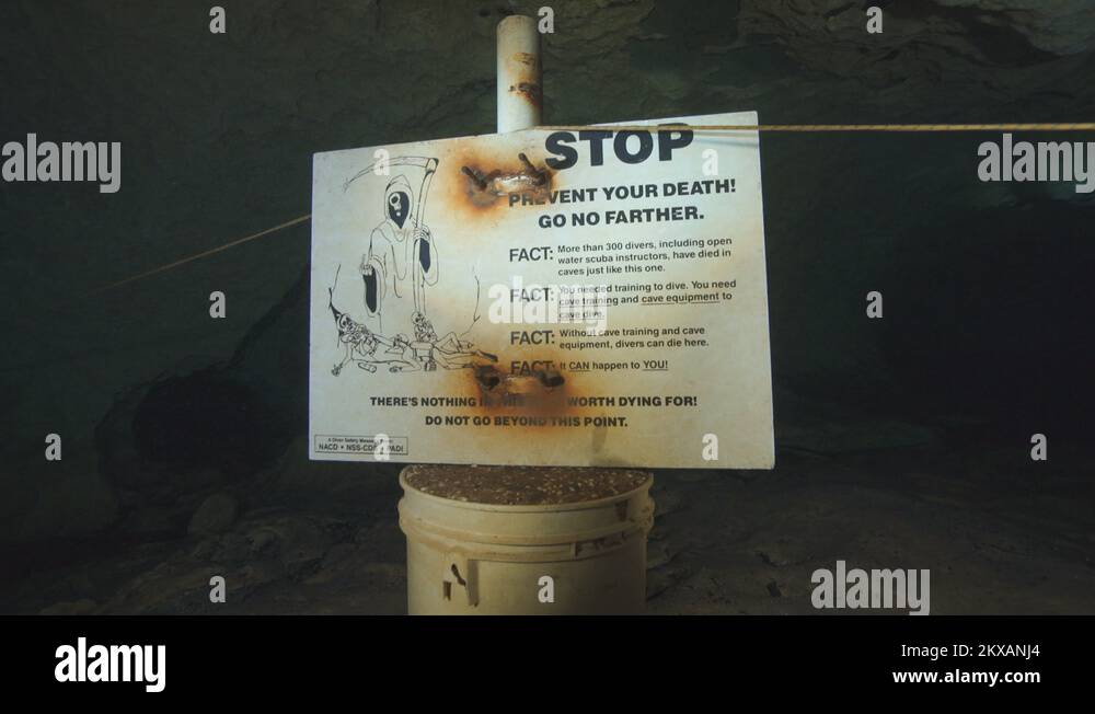 Cave diving florida Stock Videos & Footage - HD and 4K Video Clips - Alamy
